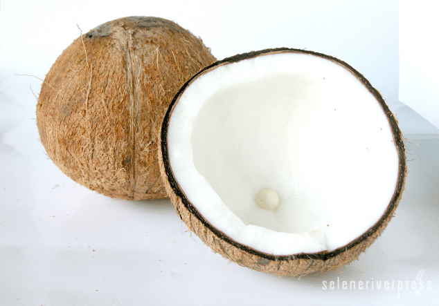 Are You Cuckoo for Coconut? - Selene River Press