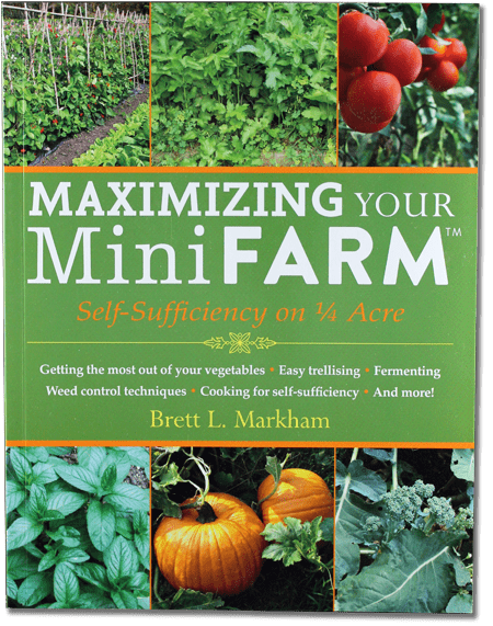 Home - Selene River Press