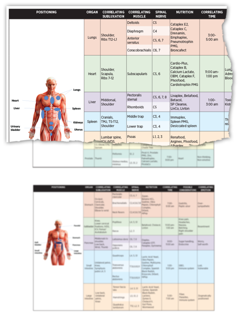 MRA Quick Points Guide - Selene River Press