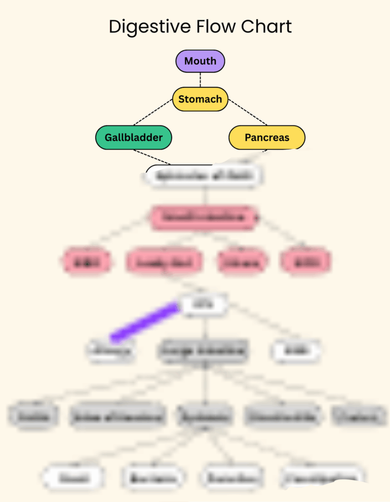 Digestive Flow & Nutritional Support Chart by Dr. Lowell Keppel ...